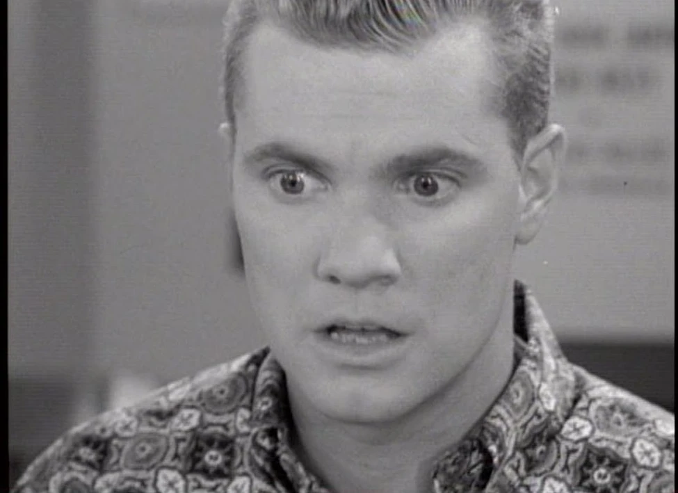 Dobie Gillis | Ultimate Pop Culture Wiki | Fandom