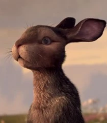 Fiver (Watership Down) | Ultimate Pop Culture Wiki | Fandom