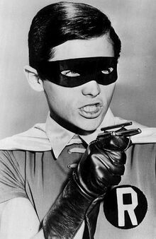 Burt Ward | Ultimate Pop Culture Wiki | Fandom