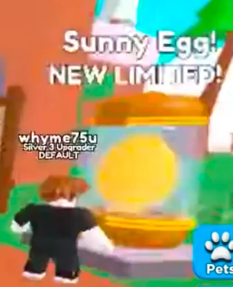 Sunny Egg | Ultra Hatching Simulator Wiki | Fandom