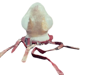 Silverbloome | Ultraman Wiki | Fandom