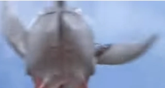 Bapa Raksasa Baik! | Ultraman Wiki | Fandom