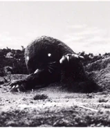 Mongula | Ultraman Wiki | Fandom