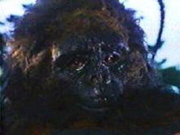 Genius Gorilla | Ultraman Wiki | Fandom Genius Gorilla | Ultraman Wiki | Fandom