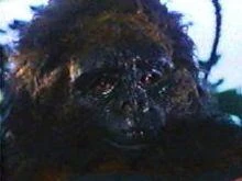 Genius Gorilla | Ultraman Wiki | Fandom