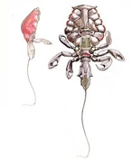 Alien Cool | Ultraman Wiki | Fandom