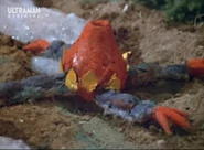 Mandarin Grass | Ultraman Wiki | Fandom