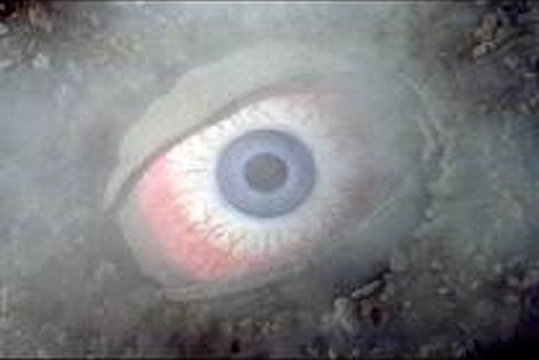 Gan-Q/Gallery | Ultraman Wiki | Fandom