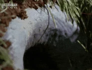 Bango | Ultraman Wiki | Fandom