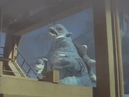 Kodalar | Ultraman Wiki | Fandom
