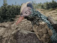 Litra | Ultraman Wiki | Fandom