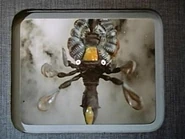 Alien Cool | Ultraman Wiki | Fandom