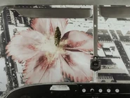 Juran | Ultraman Wiki | Fandom