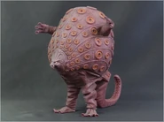 Takkong | Ultraman Wiki | Fandom