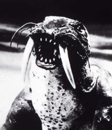 Todola | Ultraman Wiki | Fandom