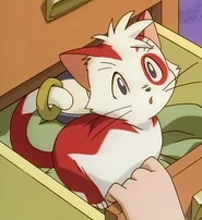 Ultra Nyan | Ultraman Wiki | Fandom