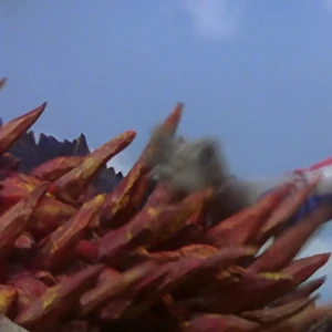 Discuss Everything About Ultraman Wiki | Fandom