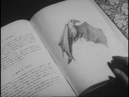 Larugeus | Ultraman Wiki | Fandom