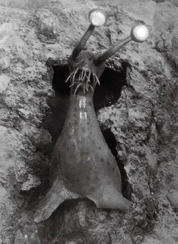 Namegon | Ultraman Wiki | Fandom