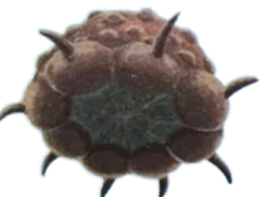 Wooeton | Ultraman Wiki | Fandom