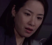 Yoko Fujiwara | Ultraman Wiki | Fandom