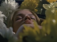 Vampire | Ultraman Wiki | Fandom