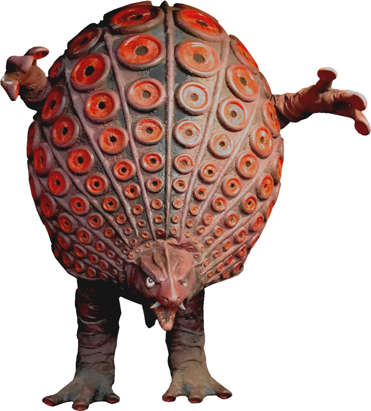 Takkong | Ultraman Wiki | Fandom