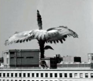 Juran | Ultraman Wiki | Fandom