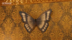 Morpho butterfly | Ultraman Wiki | Fandom