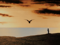 I Saw a Bird | Ultraman Wiki | Fandom
