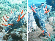 Magnedon | Ultraman Wiki | Fandom