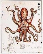 Tagarl | Ultraman Wiki | Fandom