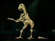 Skeldon | Ultraman Wiki | Fandom