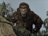 Goro | Ultraman Wiki | Fandom