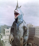 Muruchi/Gallery | Ultraman Wiki | Fandom