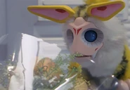 Mukkito | Ultraman Wiki | Fandom