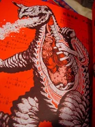 Aboras | Ultraman Wiki | Fandom