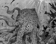 Takkong | Ultraman Wiki | Fandom