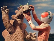 Stegorus | Ultraman Wiki | Fandom