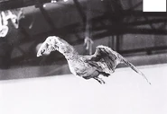 Larugeus | Ultraman Wiki | Fandom