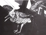 Litra | Ultraman Wiki | Fandom