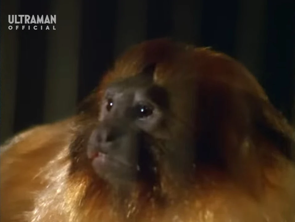 Alien Goron | Ultraman Wiki | Fandom