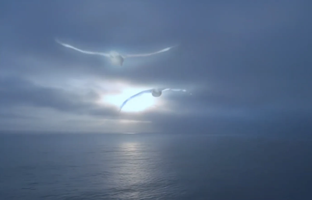 Bird | Ultraman Wiki | Fandom