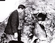 Namegon | Ultraman Wiki | Fandom