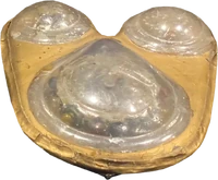 Alien Zetton | Ultraman Wiki | Fandom