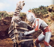 Stegon | Ultraman Wiki | Fandom