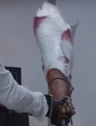 Ignis | Ultraman Wiki | Fandom