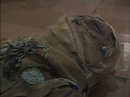 Gauma | Ultraman Wiki | Fandom