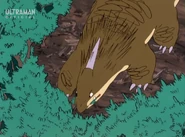 Tough Gillas | Ultraman Wiki | Fandom