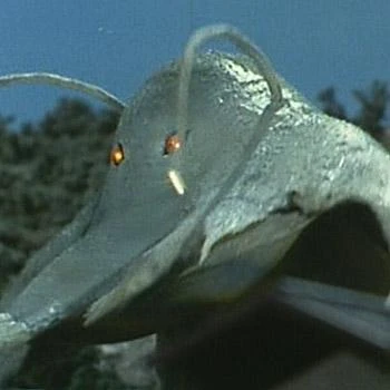 Black Satan (Fireman) | Ultraman Wiki | Fandom